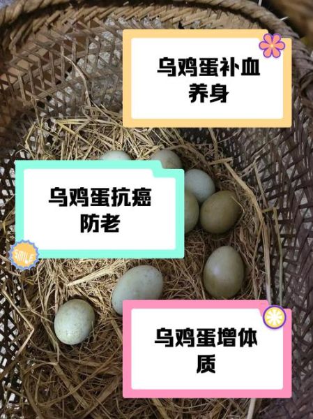 男人吃乌鸡蛋的好处_乌鸡蛋对男性有什么功效-第1张图片-山城妙识