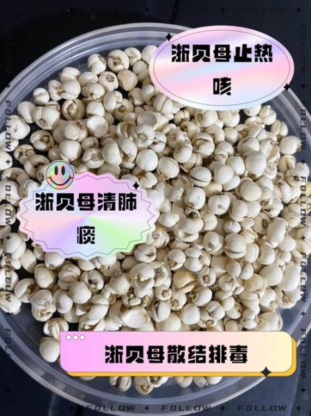 浙贝母的功效与作用_浙贝母怎么吃效果最好-第1张图片-山城妙识