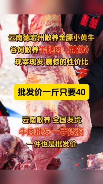 牛肉批发价格哪里便宜_如何挑选靠谱牛肉批发网-第1张图片-山城妙识