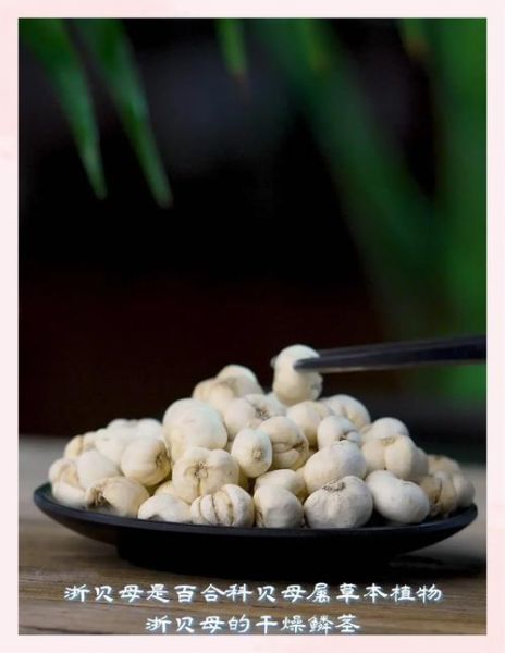浙贝母的功效与作用_浙贝母怎么吃效果最好-第2张图片-山城妙识