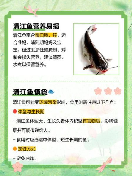 吃清江鱼的好处和坏处_清江鱼营养价值与食用风险-第1张图片-山城妙识