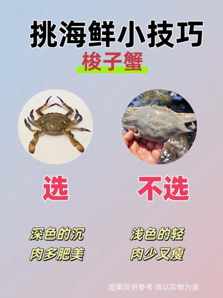 常吃的海鲜有哪些种类_如何挑选新鲜海鲜-第3张图片-山城妙识 常吃的海鲜有哪些种类_如何挑选新鲜海鲜-第3张图片-山城妙识