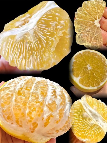 爆汁葡萄柚的功效与作用_葡萄柚怎么吃最减肥-第2张图片-山城妙识