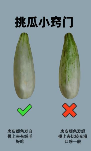 生瓜怎么挑选_生瓜和黄瓜的区别-第3张图片-山城妙识