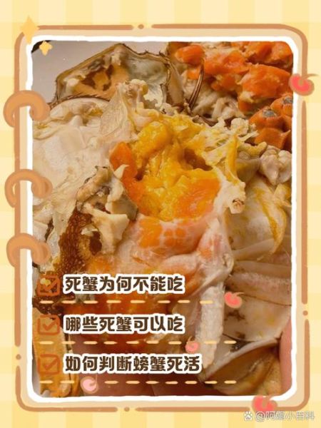 活螃蟹死了一晚上能吃吗_螃蟹死了多久不能吃-第1张图片-山城妙识