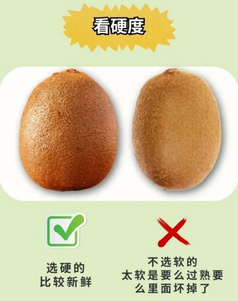 猕猴桃怎么挑选_猕猴桃的功效与作用-第3张图片-山城妙识