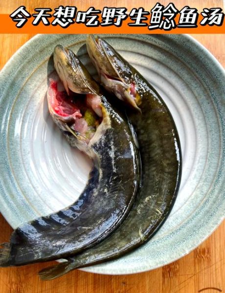 土鲶鱼怎么做好吃_土鲶鱼的做法大全家常-第1张图片-山城妙识