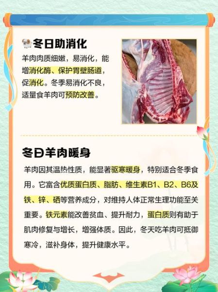 羊肉的功效与作用_哪些人不能吃羊肉-第1张图片-山城妙识
