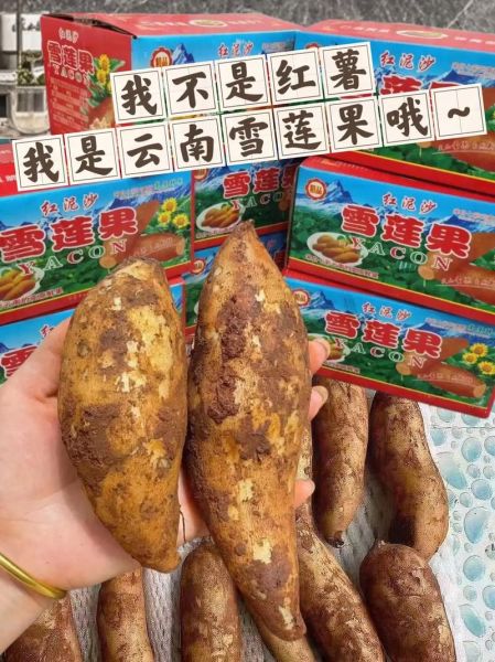 雪莲果糖尿病人能吃吗_雪莲果升糖指数高吗-第3张图片-山城妙识