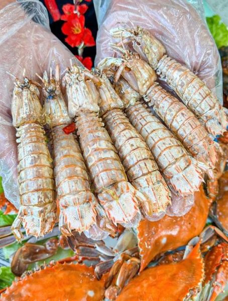 皮皮虾几月份吃最好_什么时候最肥-第1张图片-山城妙识