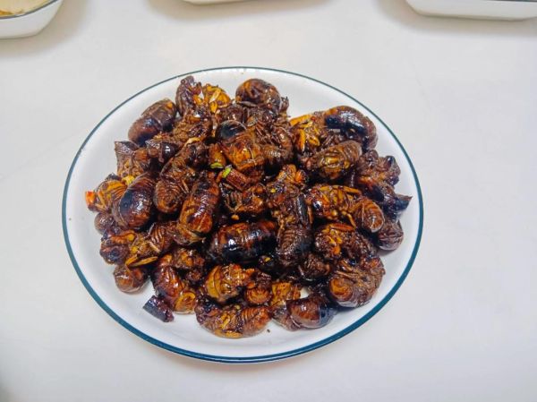 蝉蛹怎么处理可以食用_蝉蛹怎么做好吃-第3张图片-山城妙识