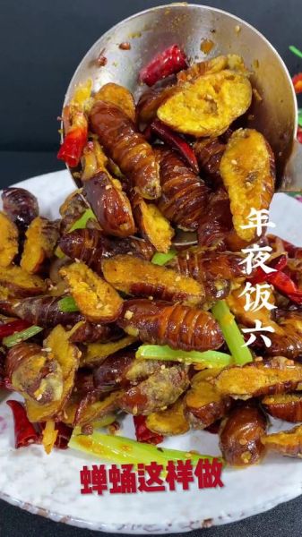 蝉蛹怎么处理可以食用_蝉蛹怎么做好吃-第2张图片-山城妙识