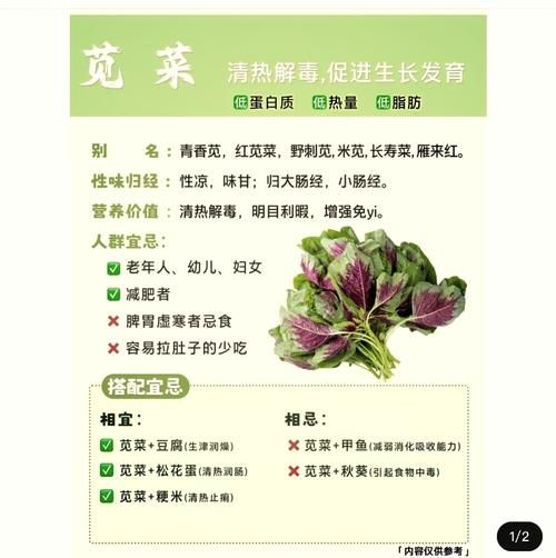 苋菜孕妇能吃吗_孕妇吃苋菜注意事项-第1张图片-山城妙识