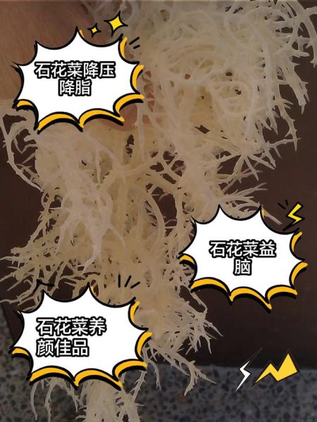 海石花和石花菜的区别_哪个更好吃-第2张图片-山城妙识