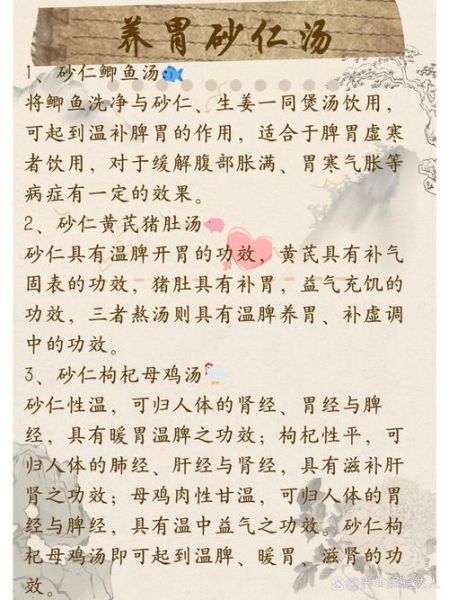 砂仁粉的功效与作用_砂仁粉怎么吃效果好-第1张图片-山城妙识