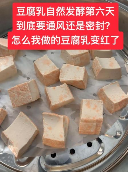 自制豆腐乳怎么发酵_豆腐乳发酵温度是多少-第1张图片-山城妙识