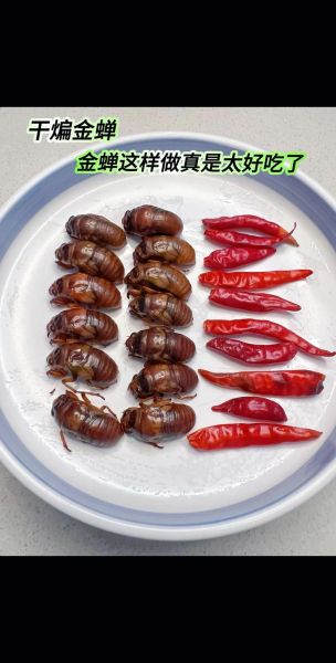 知了怎么吃有营养_知了怎么吃最健康-第2张图片-山城妙识