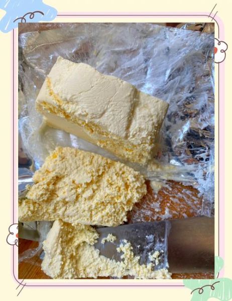 奶酪怎么保存不会坏_奶酪可以冷冻吗-第1张图片-山城妙识