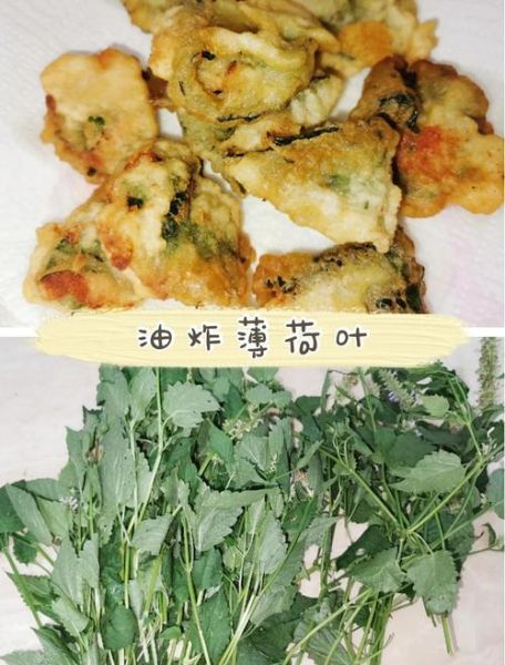 薄荷叶可以做什么_薄荷叶怎么用效果最好-第1张图片-山城妙识