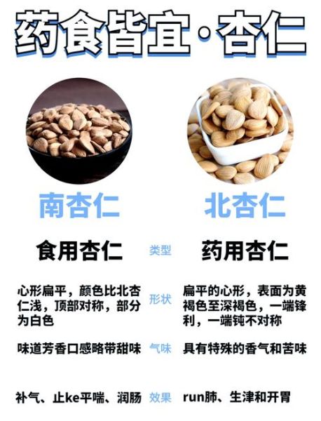 南杏仁和北杏仁的区别_哪个更适合日常食用-第2张图片-山城妙识