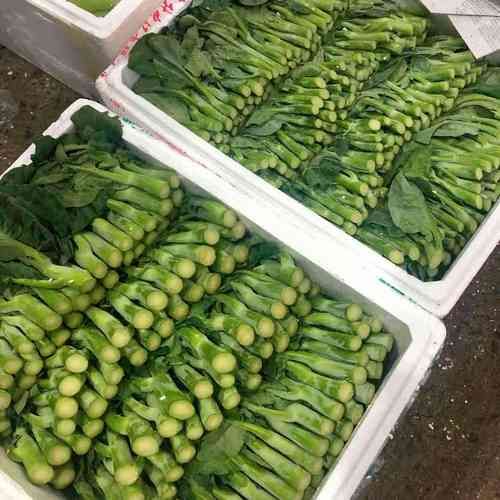 芥兰花图片_如何挑选新鲜芥兰花-第1张图片-山城妙识