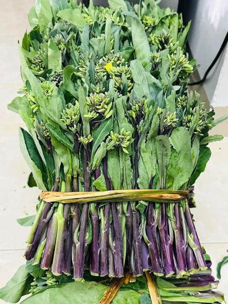 芥兰花图片_如何挑选新鲜芥兰花-第3张图片-山城妙识