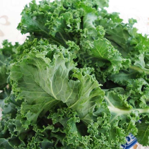 芥兰花图片_如何挑选新鲜芥兰花-第2张图片-山城妙识