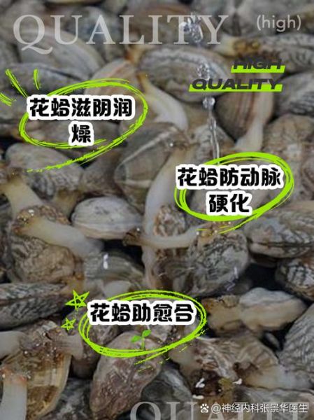 花蛤和蛤蜊的区别_哪个更好吃-第2张图片-山城妙识