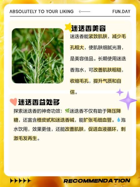 迷迭香茶怎么制作_迷迭香茶的功效与作用-第1张图片-山城妙识