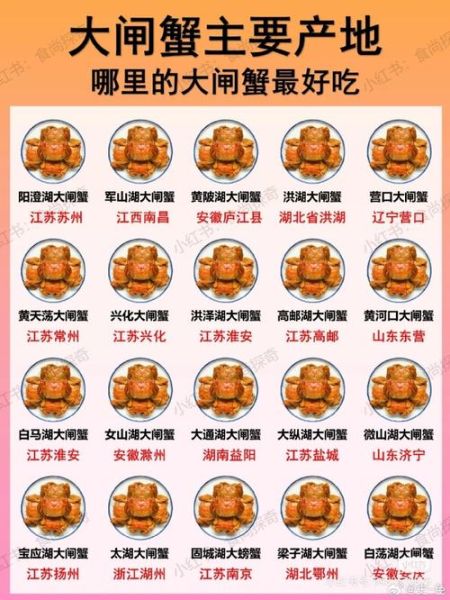 大闸蟹产地排名_哪里的大闸蟹最正宗-第1张图片-山城妙识