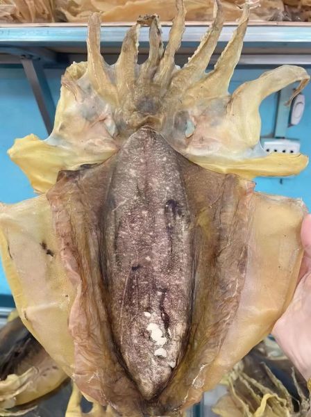 墨斗鱼怎么处理干净_墨斗鱼清洗步骤-第1张图片-山城妙识