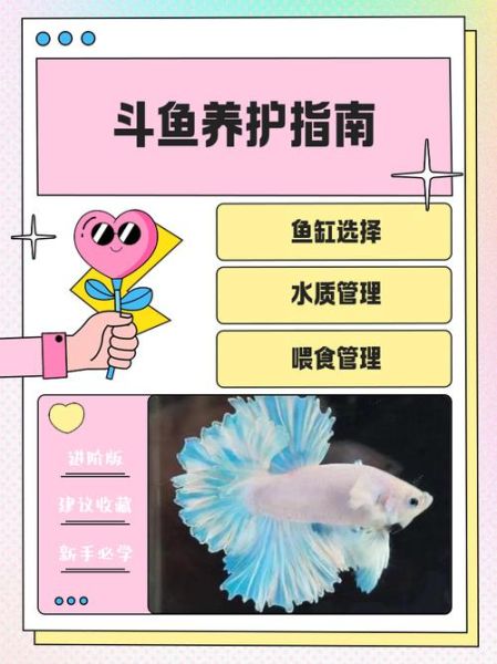 墨斗鱼怎么处理干净_墨斗鱼清洗步骤-第3张图片-山城妙识