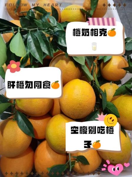 橙子不能和什么一起吃_橙子与哪些食物相克-第3张图片-山城妙识