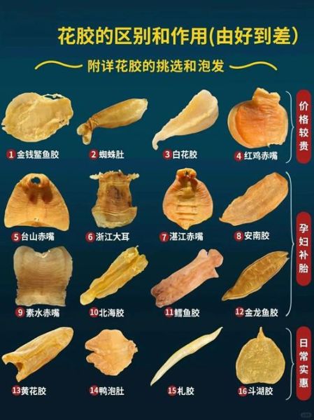 鱼胶的做法大全_鱼胶的功效与作用有哪些-第2张图片-山城妙识