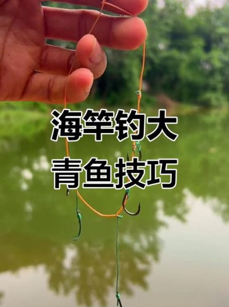 大青鱼怎么钓_大青鱼钓法技巧-第1张图片-山城妙识