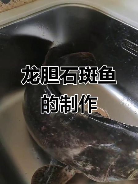 龙胆鱼图片_龙胆石斑鱼高清图怎么拍-第3张图片-山城妙识