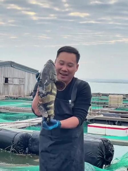 龙胆鱼图片_龙胆石斑鱼高清图怎么拍-第2张图片-山城妙识