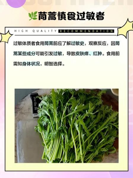 茼蒿生吃有什么危害_茼蒿生吃会中毒吗-第2张图片-山城妙识