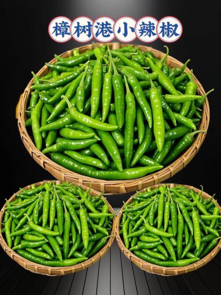樟树港辣椒为什么这么辣_正宗产地在哪里-第2张图片-山城妙识 樟树港辣椒为什么这么辣_正宗产地在哪里-第2张图片-山城妙识