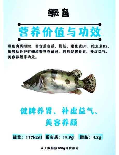 桂花鱼营养价值_孕妇能吃吗-第1张图片-山城妙识