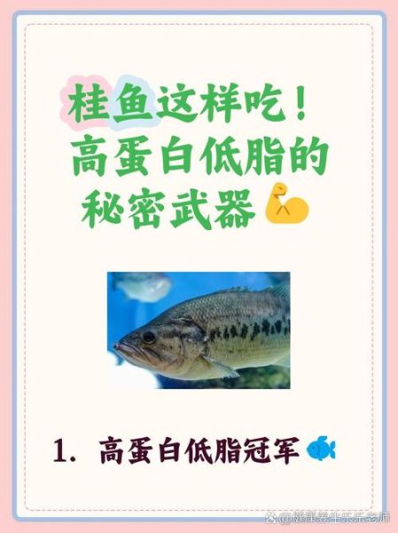 桂花鱼营养价值_孕妇能吃吗-第2张图片-山城妙识