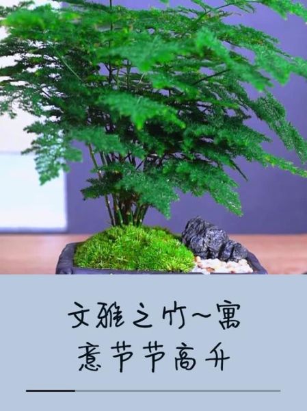 节节高升图片有什么寓意_如何正确悬挂节节高升图-第1张图片-山城妙识