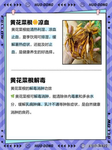 黄花菜泡水喝的功效_黄花菜泡水喝的禁忌-第1张图片-山城妙识