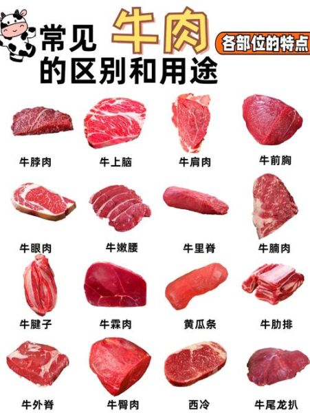 一头牛有多少牛腱子肉_牛腱子肉部位分布-第1张图片-山城妙识