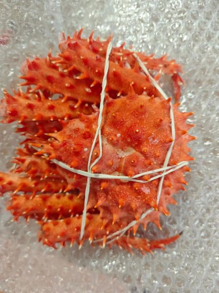 熟冻帝王蟹怎么蒸_熟冻帝王蟹蒸多久-第1张图片-山城妙识