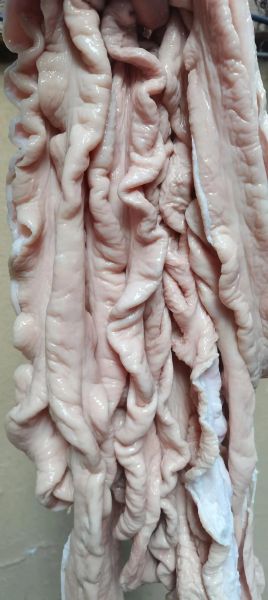 肥肠里面的油用去掉吗_怎么清洗才干净-第2张图片-山城妙识 肥肠里面的油用去掉吗_怎么清洗才干净-第2张图片-山城妙识