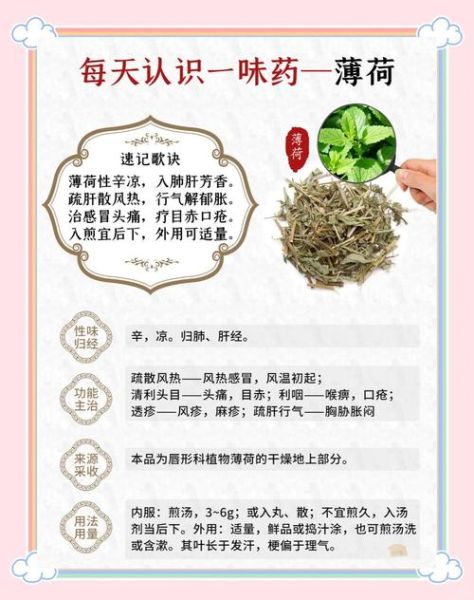 薄荷怎么吃最健康_薄荷的功效与作用有哪些-第2张图片-山城妙识
