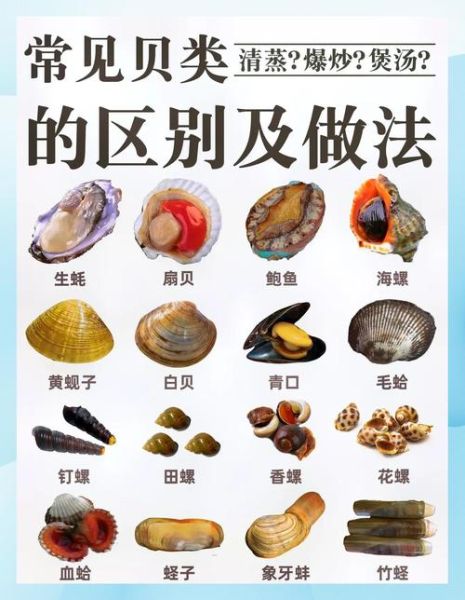 贝类海鲜怎么做好吃_贝类海鲜做法大全-第1张图片-山城妙识