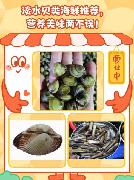 贝类海鲜怎么做好吃_贝类海鲜做法大全-第3张图片-山城妙识