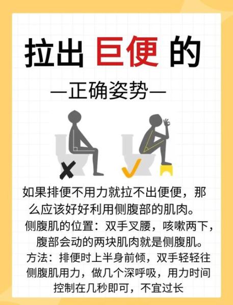 屎太硬已到肛门拉不出怎么办_如何快速软化-第2张图片-山城妙识 屎太硬已到肛门拉不出怎么办_如何快速软化-第2张图片-山城妙识
